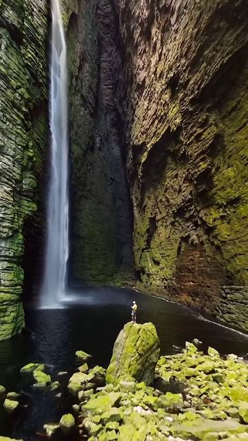 🌿 национальный парк Шапада‑Диамантина (Бразилия)!