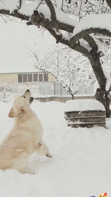 Арт в снегу 2