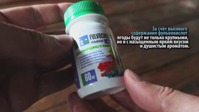 Удобрение для смородины Фульвохелат +Р +К с фульвокислотами, хелатами и микроэлементами 60 мл