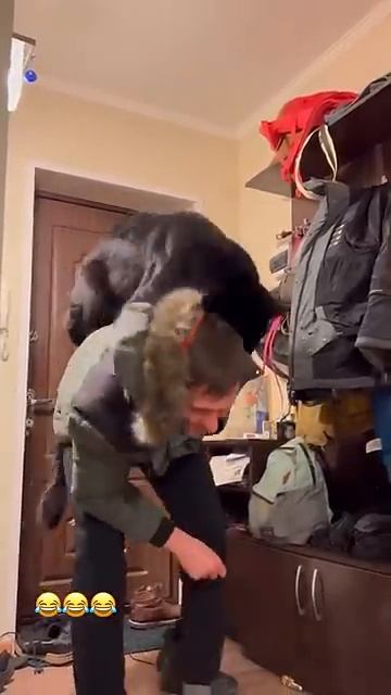 Пантера Луна катается на хозяине Lunathepantera [get.gt]