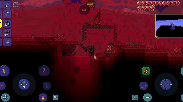 Рыбачу в багрянце в террарии