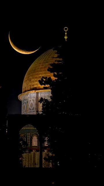 11 января 2026 г.