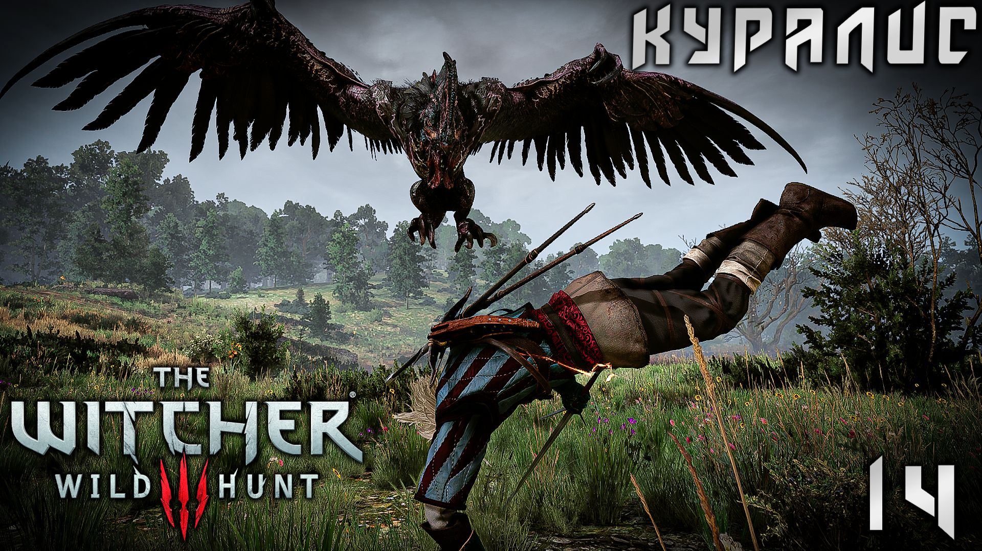 Ведьмак 3 Дикая Охота - Куралис #14 (The Witcher 3 Wild Hunt)