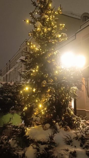 Зефирный Столешников переулок