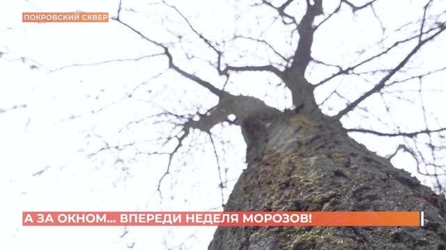 А за окном. 12 января 2025