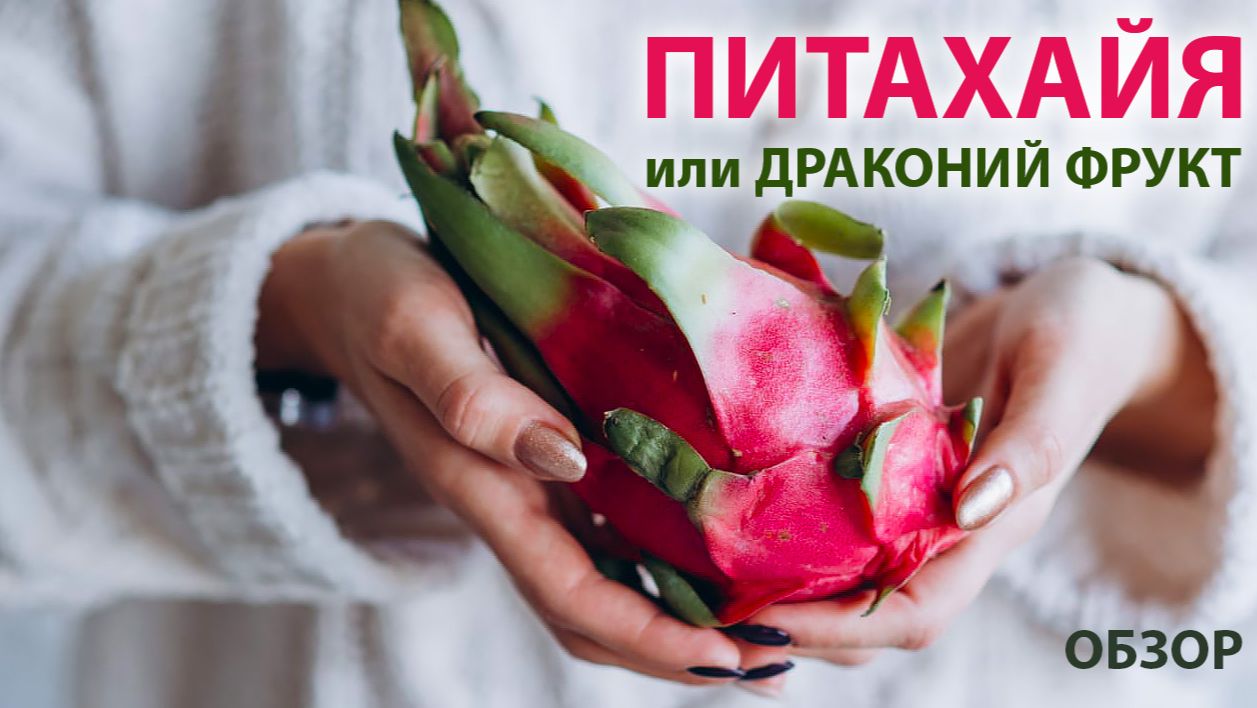 🐉 Драконий фрукт питахайя: как выбрать, почистить и съесть? Развеем все мифы!