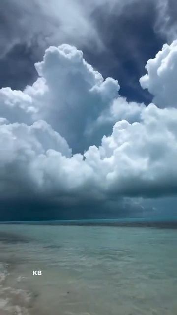 #видео #видеооткрытка #природа #клип #пейзаж #katyboro #video #рек #топ #врек #рекомендации