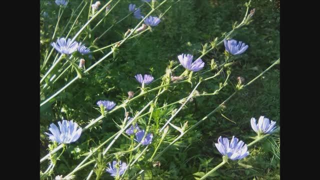 Творение мира.