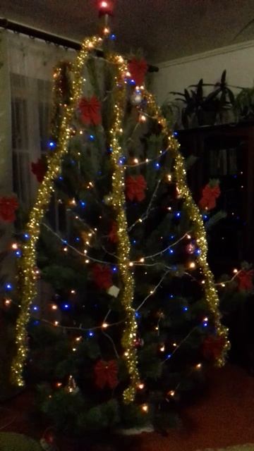 Ёлочка - красавица!