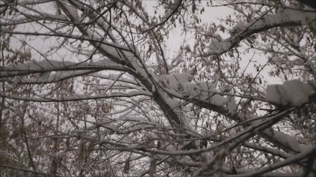 Декабрь совсем ушёл.