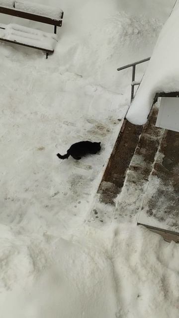 PXL_20260112_110405759