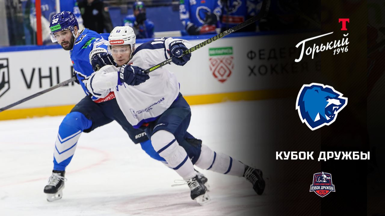 Витебск - Торпедо-Горький. Обзор матча