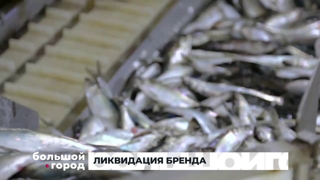 ЛИКВИДАЦИЯ БРЕНДА. Большой город 12/01/2026