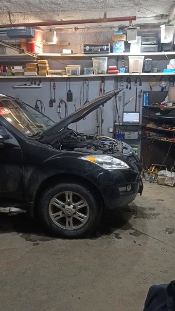 Ховер H5 - отключение ЕГР, увеличение мощности.