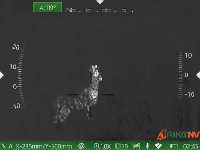 Бывалому охотнику -ветки не мешают