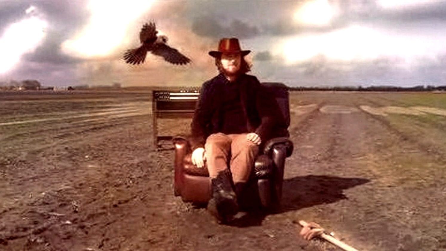 Birds - The Sidekicks!