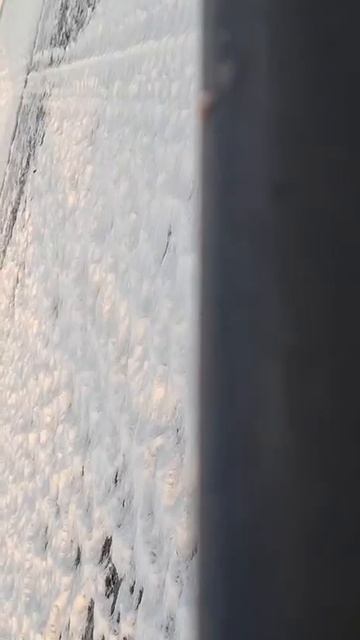 Воришку застукали на месте преступления 🤣 🤣 🤣  12-01-2026