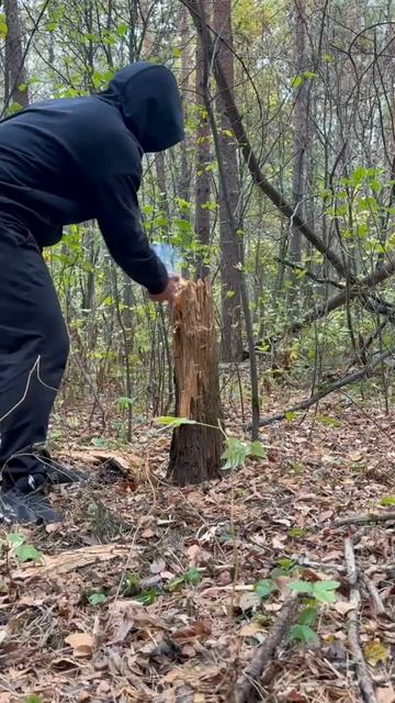 П2461 Петарды PUMA (12 шт)