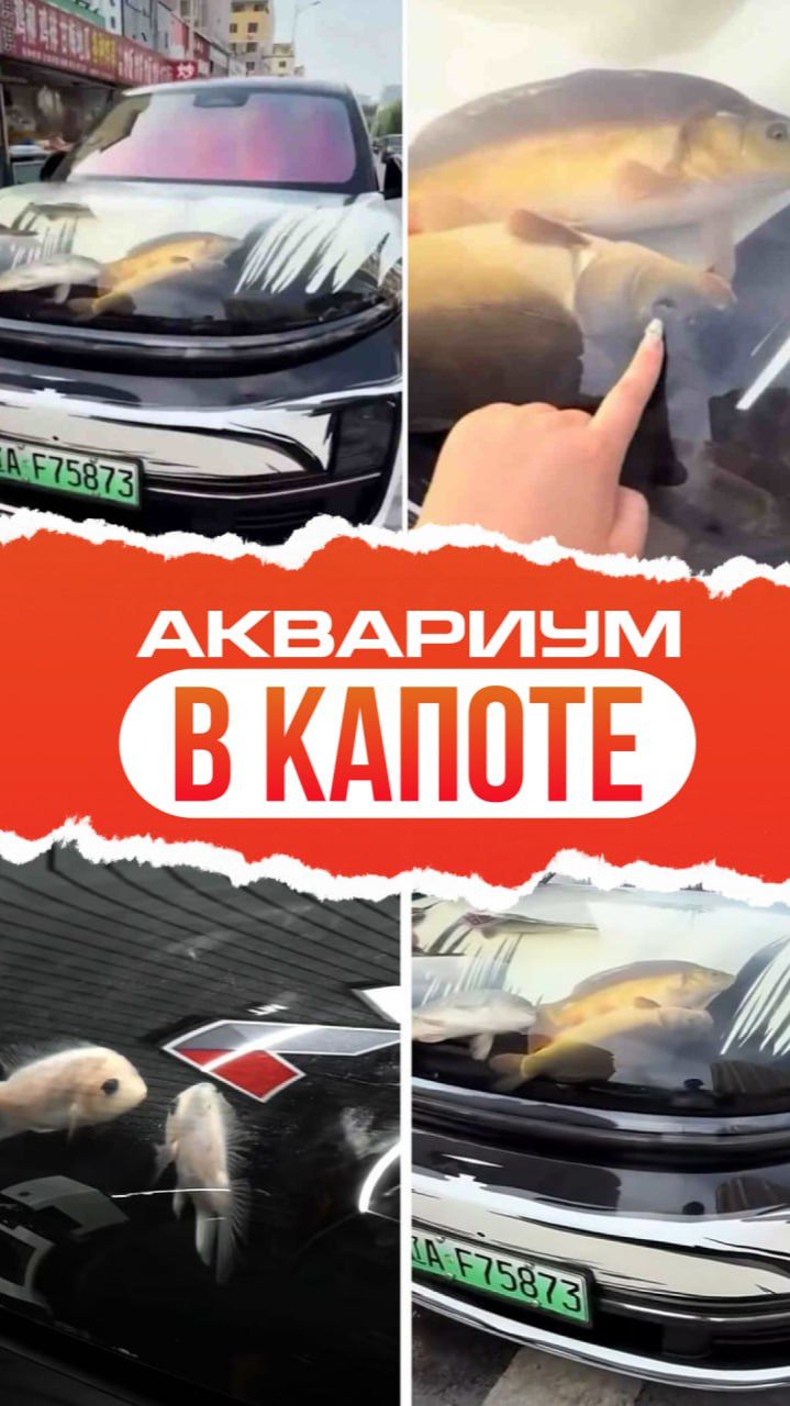 Аквариум на капоте Lixiang 😳 Странный тренд из Китая