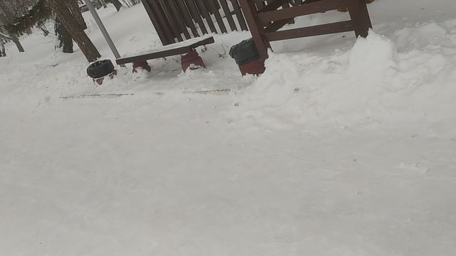 прогулка по парку часть 5