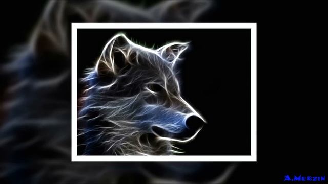 Stive Morgan - Island of paradis