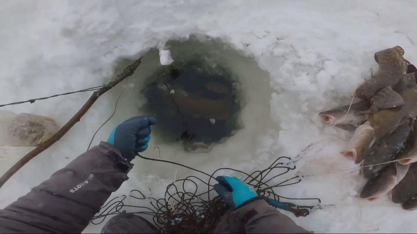 Рыбалка у чёрной дыры. Ловля налима. Тридцать пятая серия.