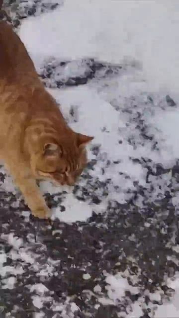 Вызвали по срочным делам