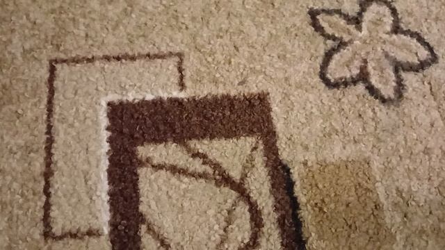 Как почистить палас За 3 Минуты!!!!!!!!!