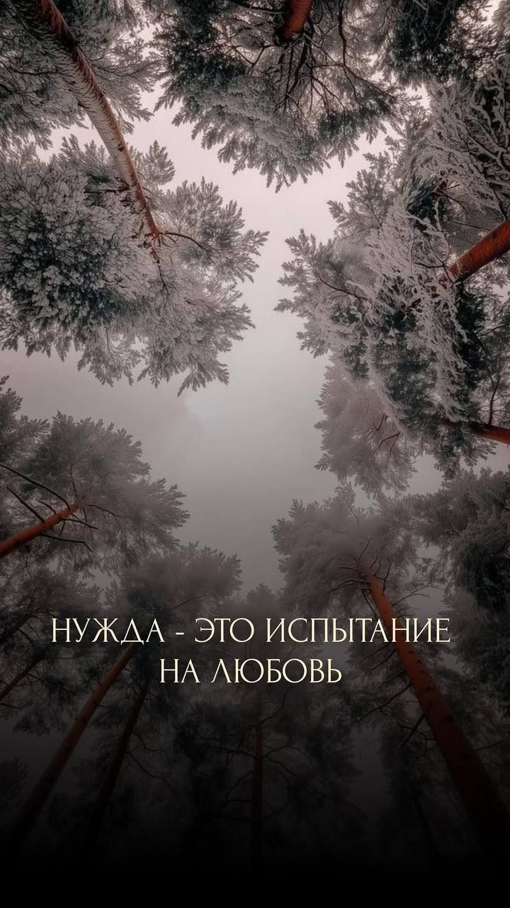 НУЖДА - ЭТО ИСПЫТАНИЕ НА ЛЮБОВЬ