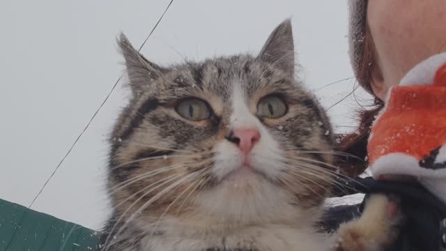 Как получился гречневый хлеб. Снег. Завтрак