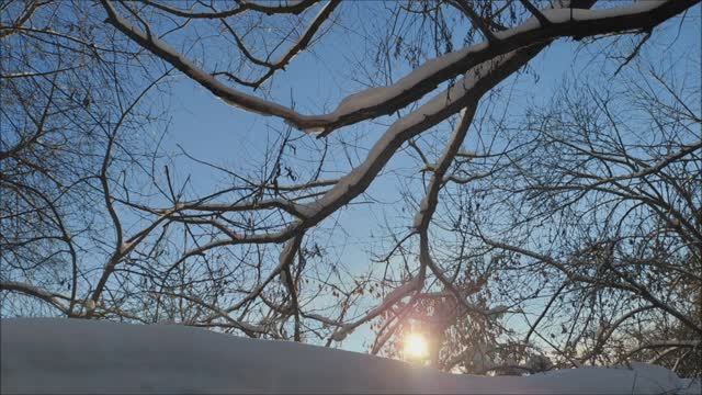 Славим Христа.