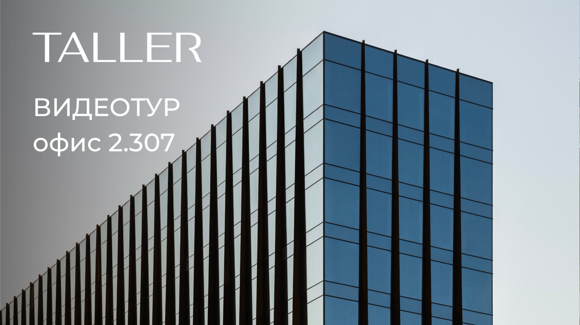 TALLER Обзор офиса 2.307