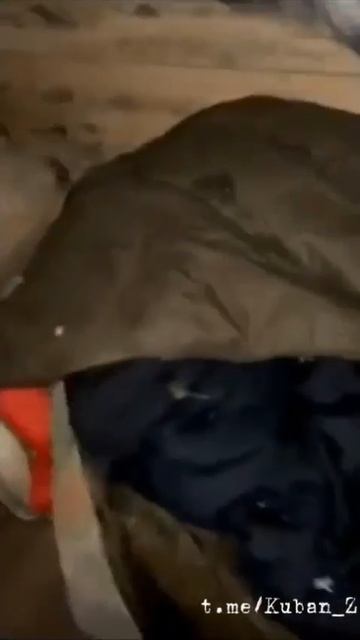 Мыши в блиндаже (клип)