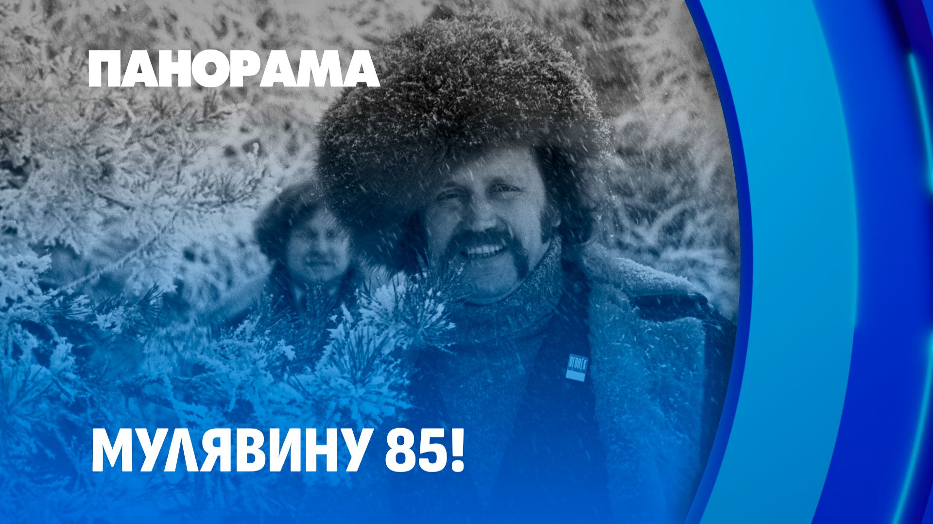 Владимиру Мулявину — 85: страна вспоминает Великого Песняра. Панорама
