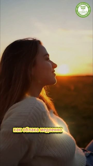 Программа "Обними корову", Планета коров