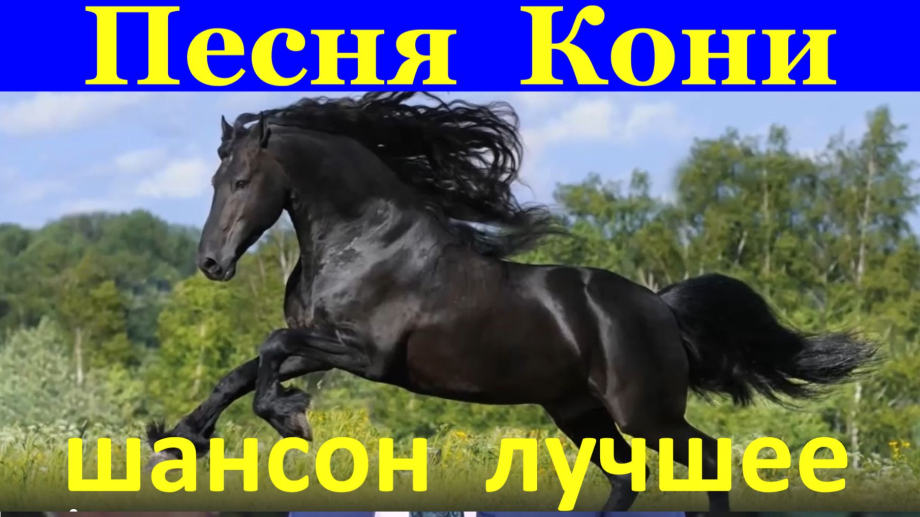 Песня Кони Игорь Слуцкий песни шансон лучшее хиты для души