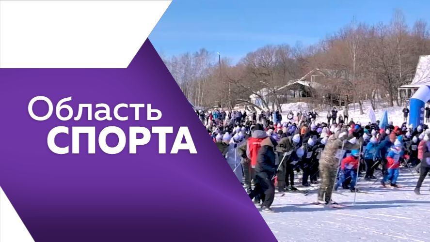 Область спорта №344. Итоги