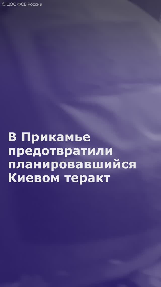 В Прикамье предотвратили планировавшийся Киевом теракт на железнодорожном мосту