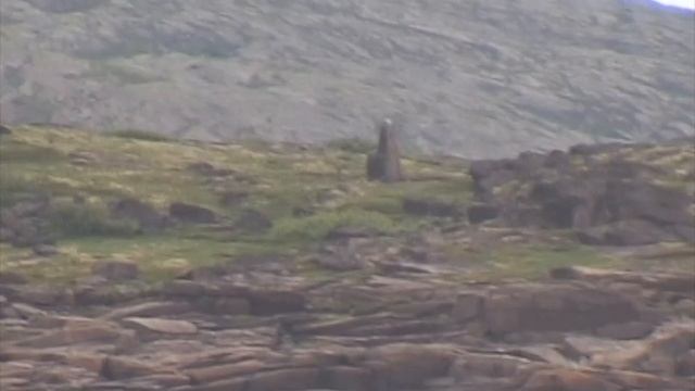 ©  "Тронный. Тронный с корабля. Ягры" 2006