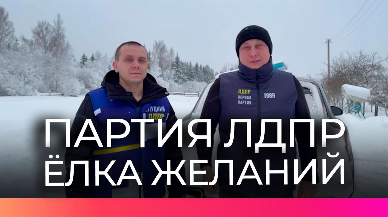 Активисты партии ЛДПР приняли участие во Всероссийской акции «Ёлка желаний»