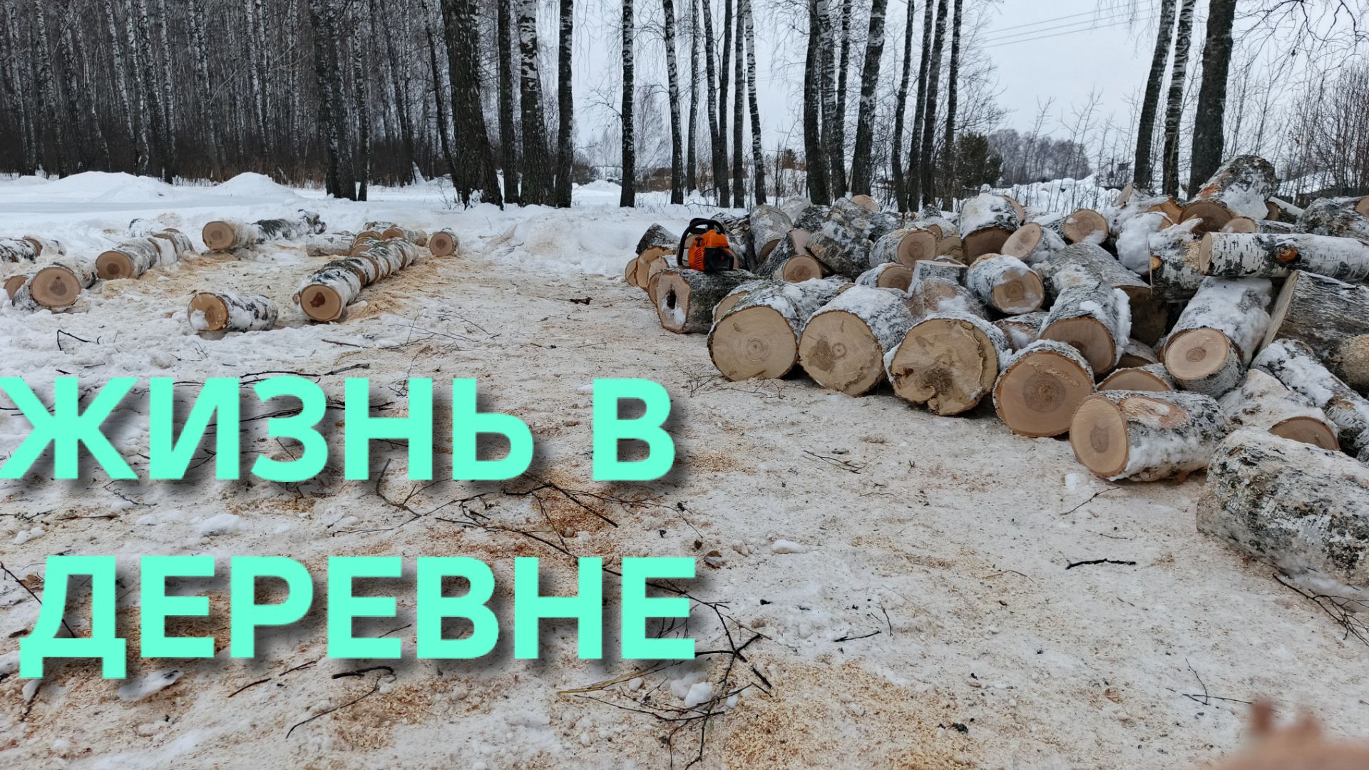 Жизнь в деревне Допиливаю последние дрова и снова маралы пришли в гости