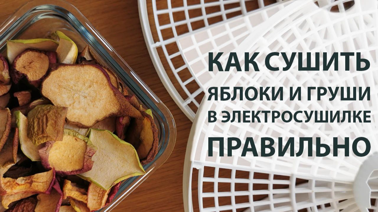 🍎 Как и сколько сушить яблоки и груши в электросушилке: заготовки на зиму пошагово