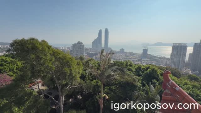 Сямэнь #6 Xiamen 01.2026 Парк Хуншань Hongshan Park 鸿山公园 Лучший панорамный вид на Сямэнь.