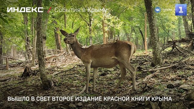 Вышло в свет второе издание Красной книги Крыма