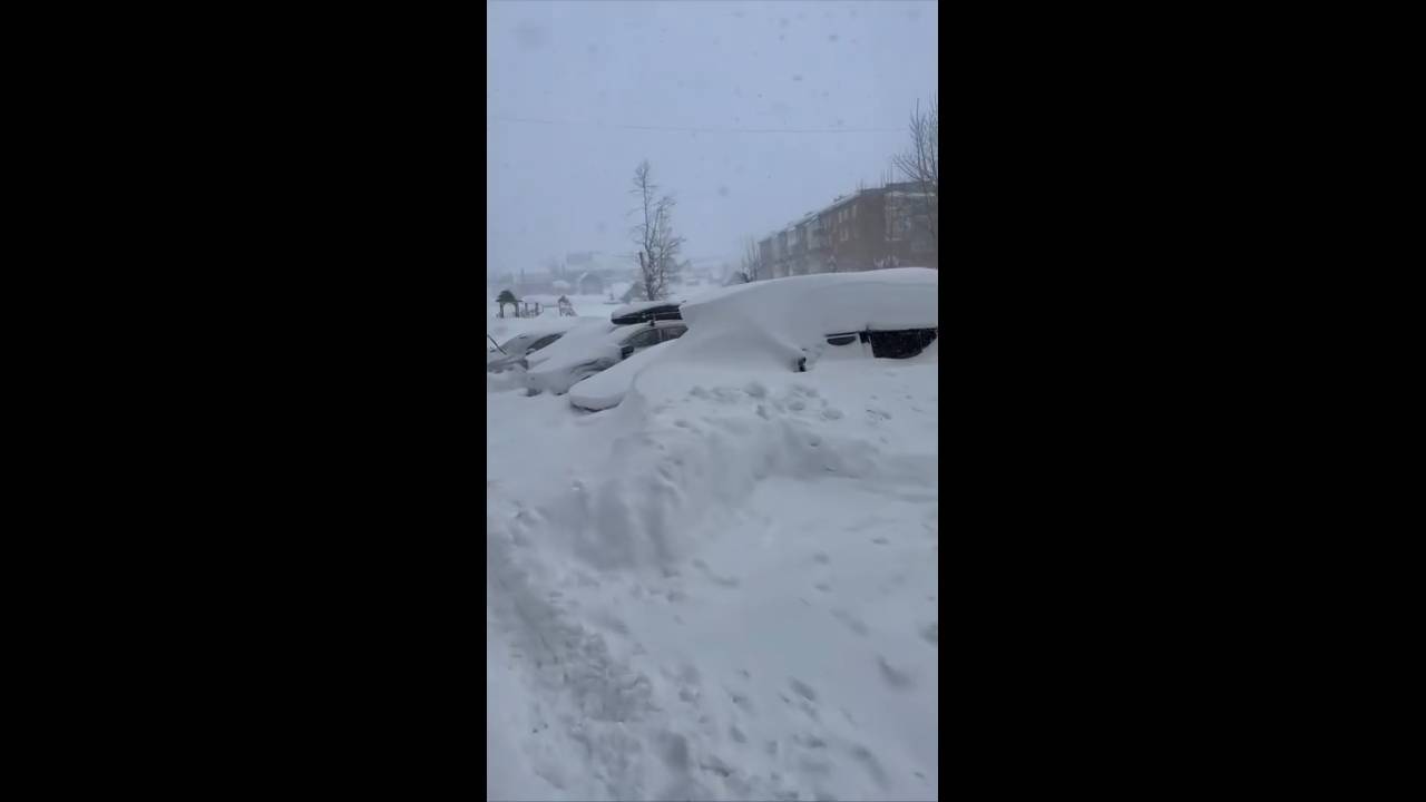 #смешныевидео -673