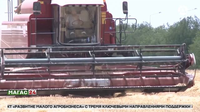 Правительство утвердило ряд новых мер поддержки для сельхозпроизводителей