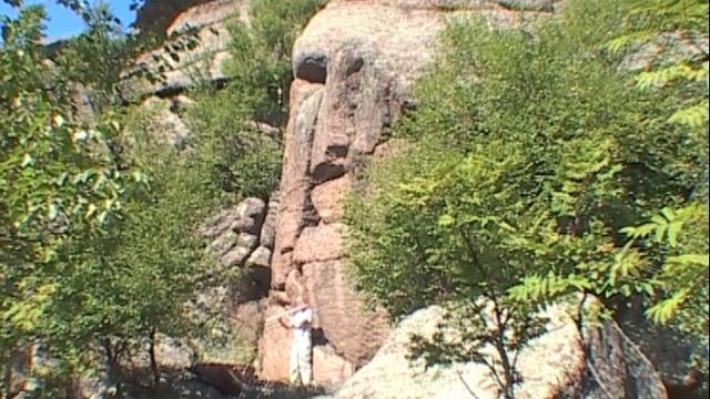 ©  "Немец. Флейтистка у Одина" 2005