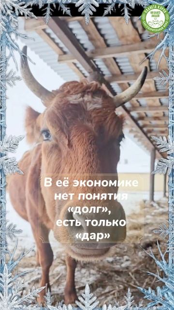 В её экономике нет понятия «долг», есть только «дар»