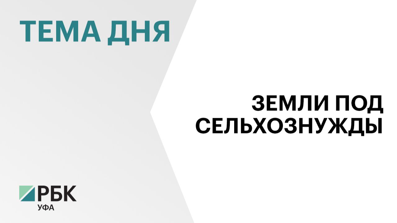 В Башкортостане хотят усложнить перевод сельхозземель в другие категории и сделать его многоэтапным