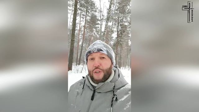 ВЕРЬ, НАДЕЙСЯ, ПОБЕЖДАЙ / МОЛИТВА В ЛЕСУ 🙏